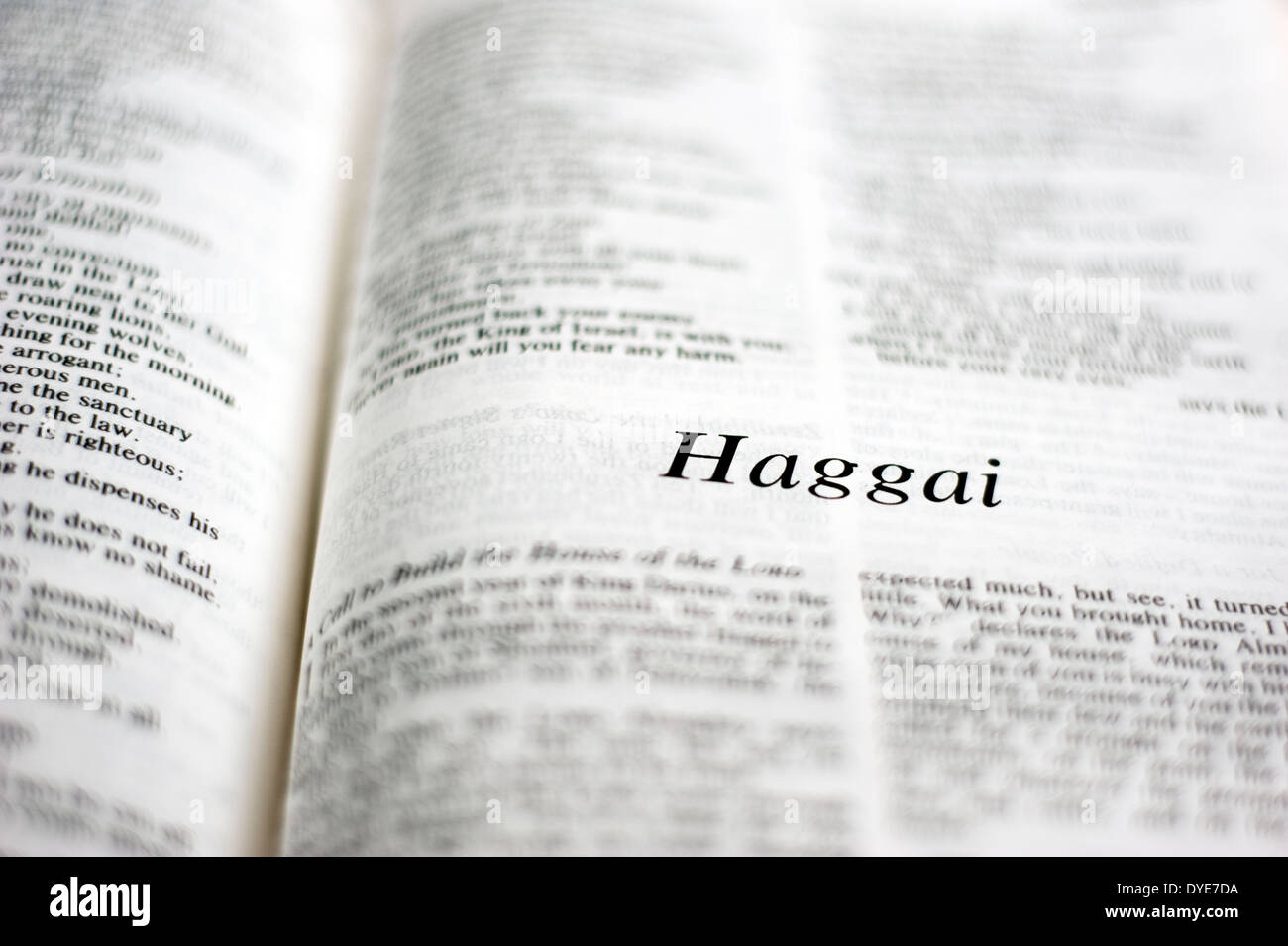 Prophet haggai -Fotos und -Bildmaterial in hoher Auflösung – Alamy