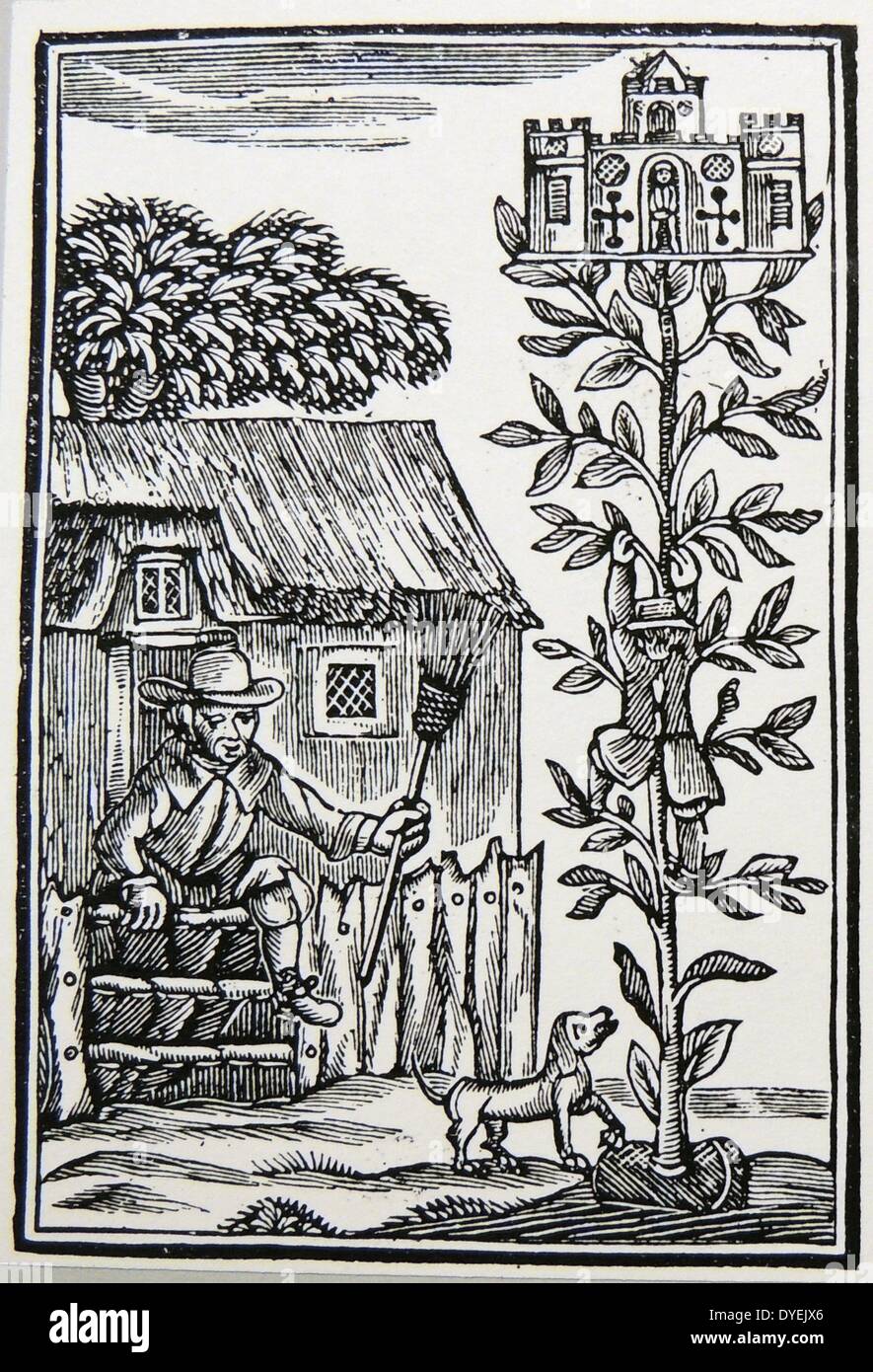 Jack and the beanstalk illustration -Fotos und -Bildmaterial in hoher ...