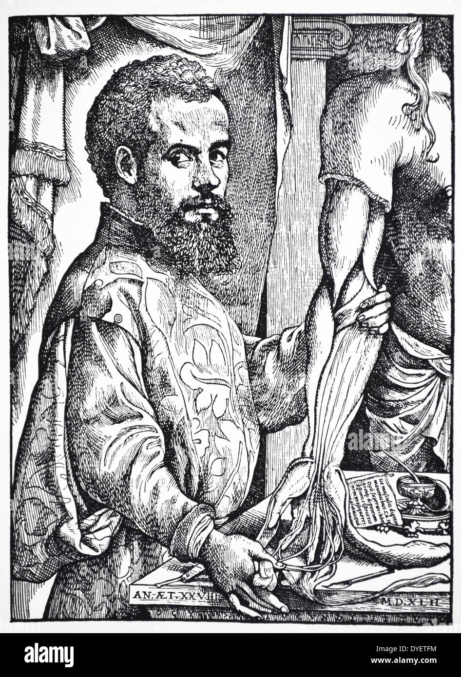 Anatomist andreas vesalius -Fotos und -Bildmaterial in hoher Auflösung ...
