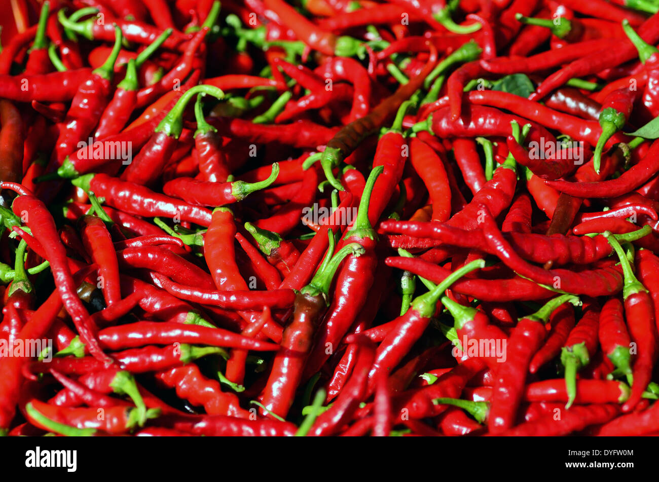 Chilis Essen Stockfotos und -bilder Kaufen - Alamy