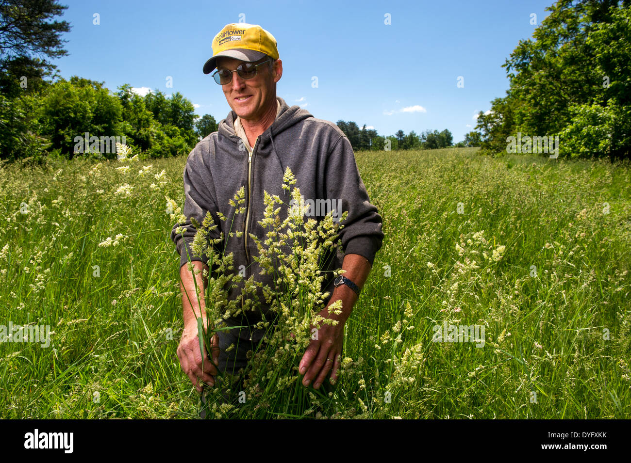 Feldarbeit landwirtschaft -Fotos und -Bildmaterial in hoher Auflösung ...