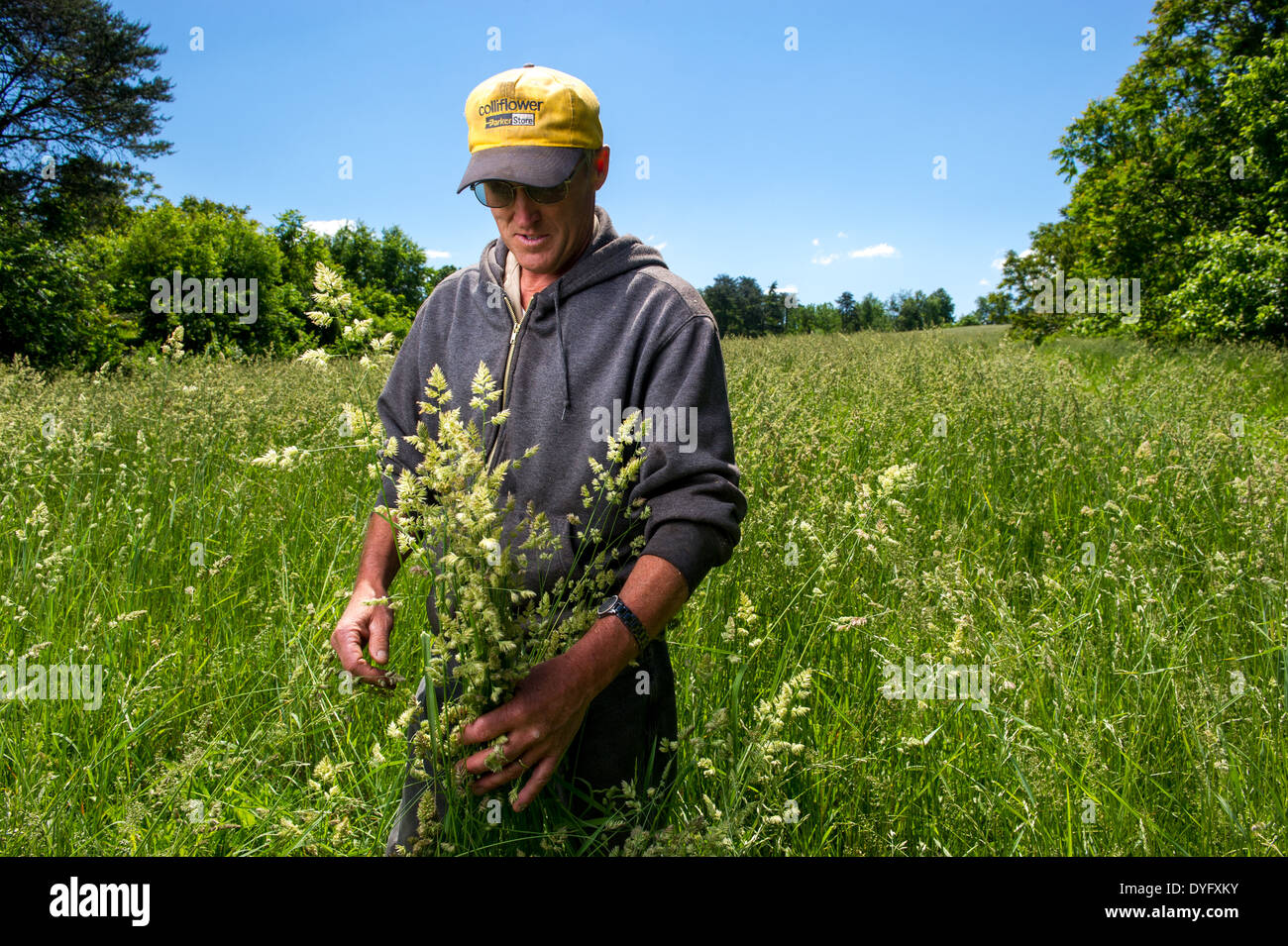 Feldarbeit landwirtschaft -Fotos und -Bildmaterial in hoher Auflösung ...