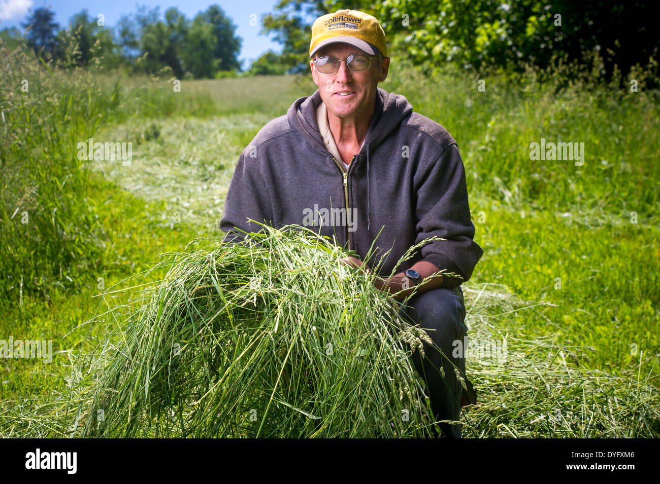 Feldarbeit landwirtschaft -Fotos und -Bildmaterial in hoher Auflösung ...