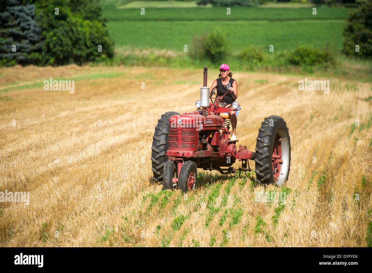 Bäuerin, die alten Traktor fahren, im Feld Stockfotografie - Alamy