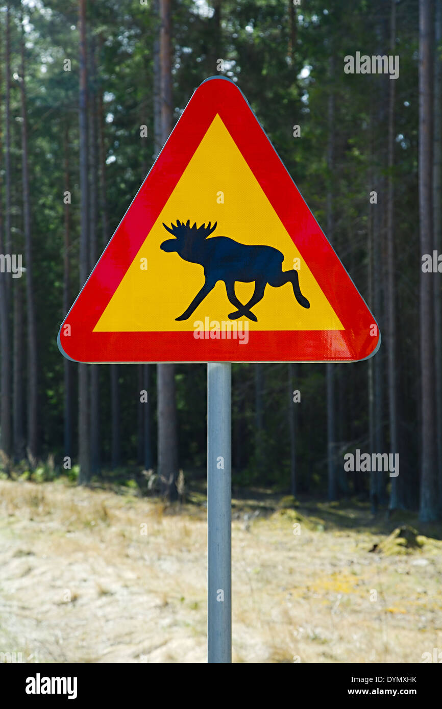 Elch symbol -Fotos und -Bildmaterial in hoher Auflösung – Alamy