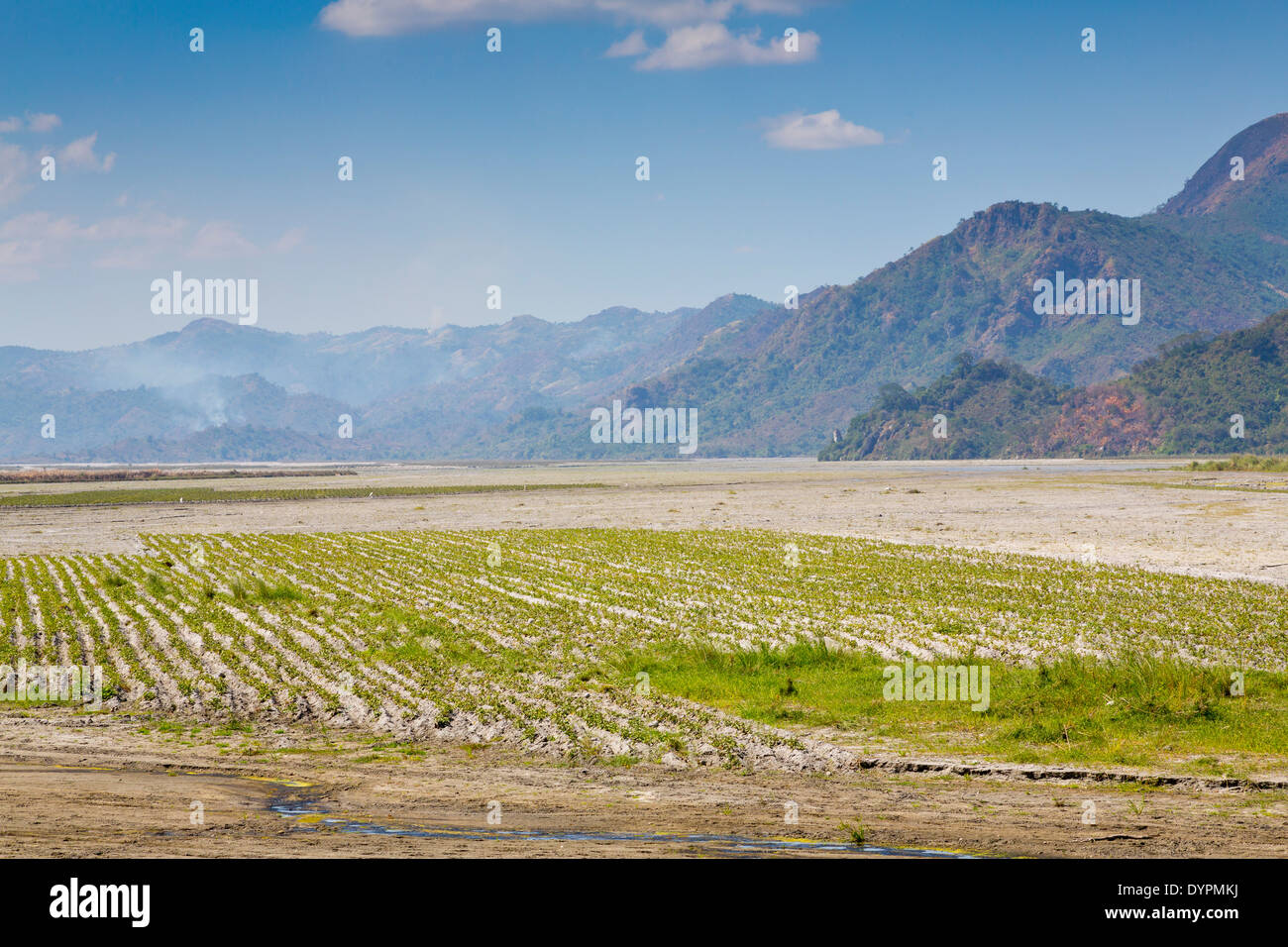 Eruption des pinatubo -Fotos und -Bildmaterial in hoher Auflösung – Alamy