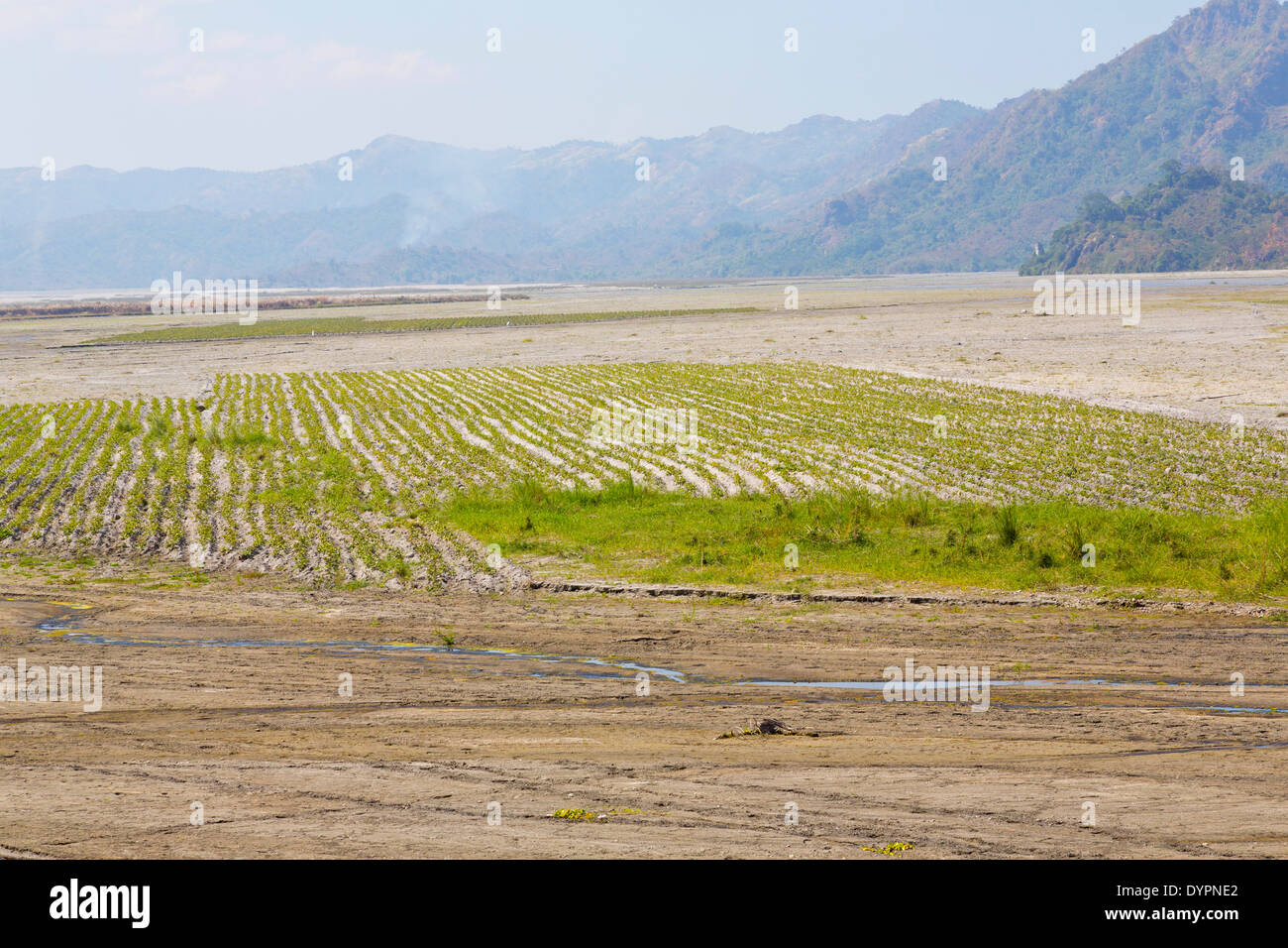 Eruption des pinatubo -Fotos und -Bildmaterial in hoher Auflösung – Alamy