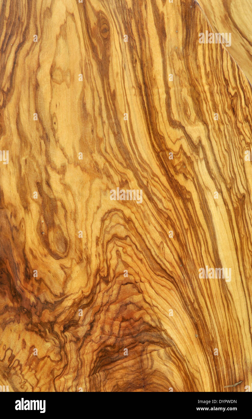 Olive wood texture -Fotos und -Bildmaterial in hoher Auflösung – Alamy