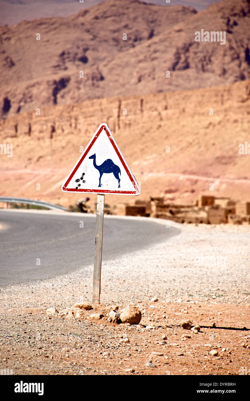 Road sign warning camels crossing -Fotos und -Bildmaterial in hoher ...