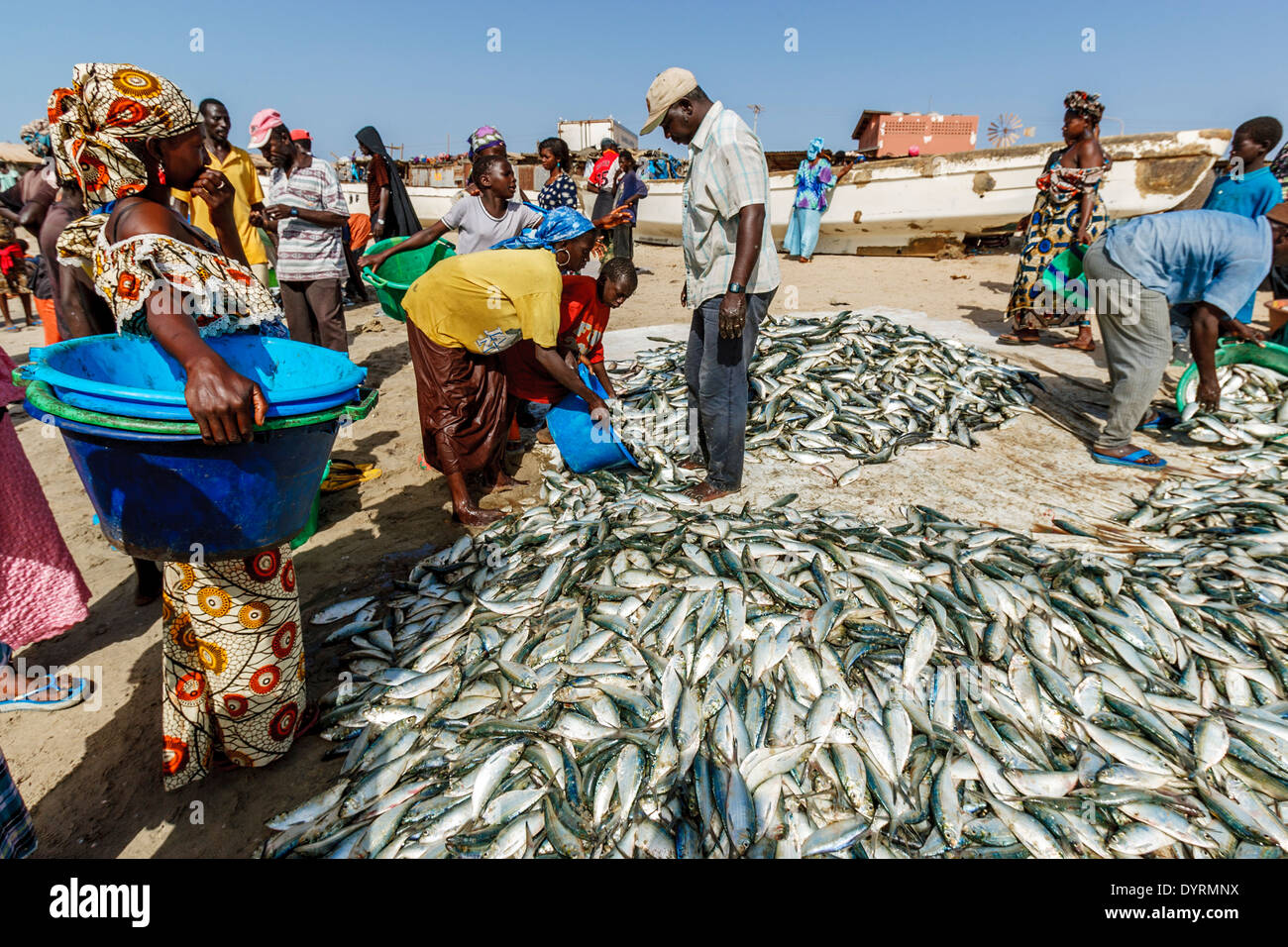 Local women sorting fish tange -Fotos und -Bildmaterial in hoher ...
