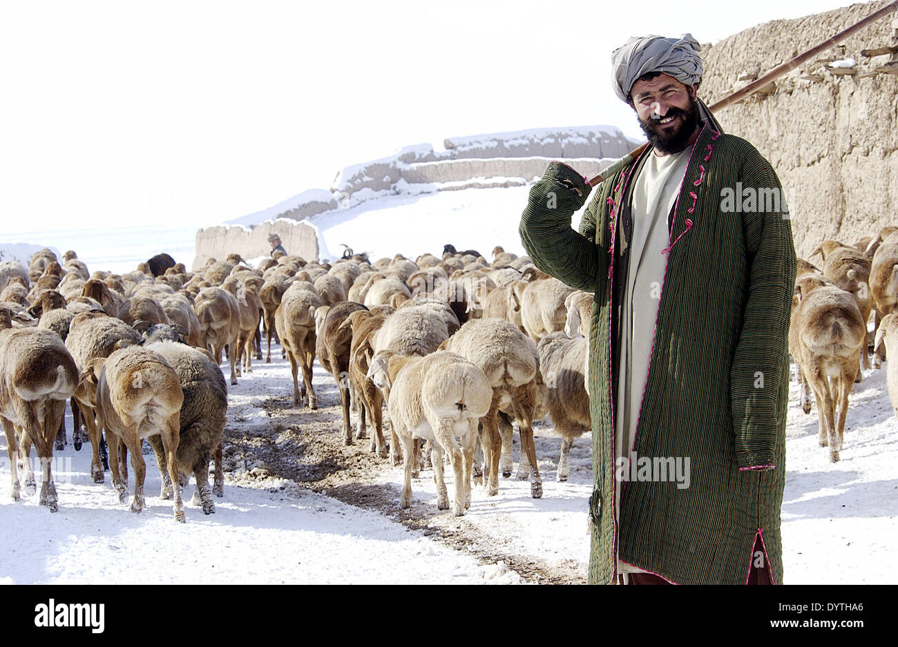 Arbeitender hirte -Fotos und -Bildmaterial in hoher Auflösung – Alamy