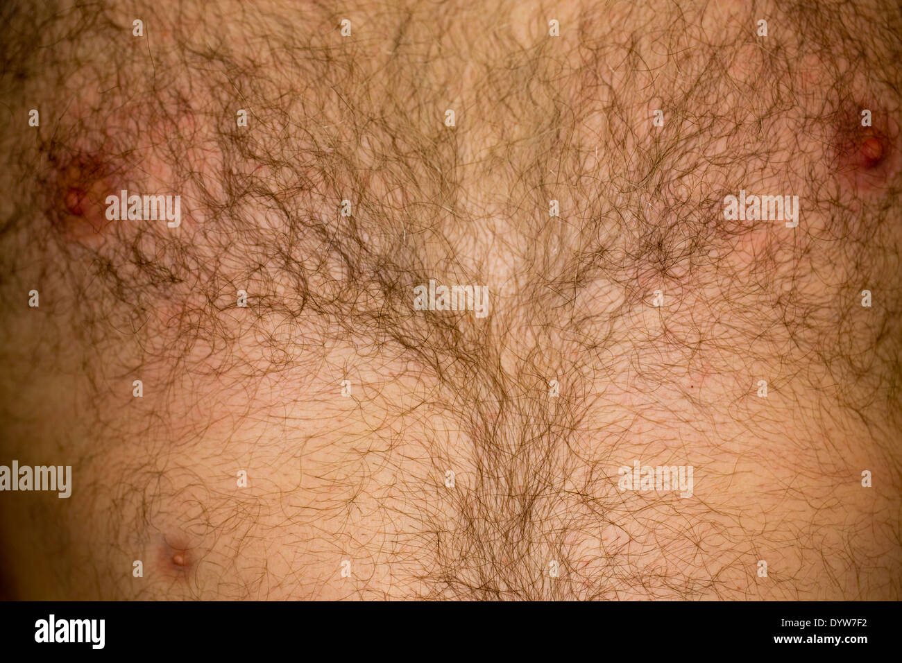 Die nippel -Fotos und -Bildmaterial in hoher Auflösung – Alamy