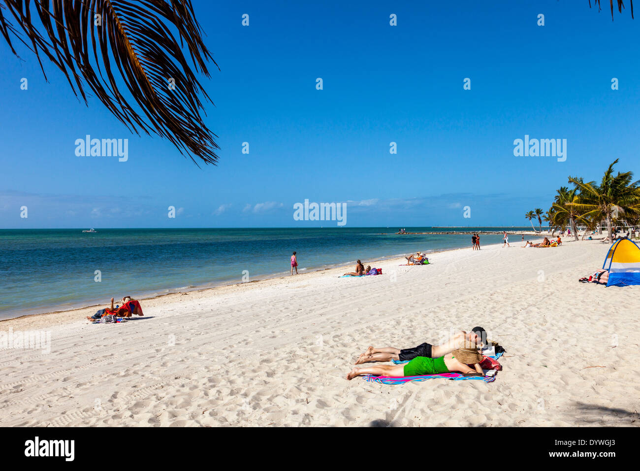 Beach key west -Fotos und -Bildmaterial in hoher Auflösung – Alamy