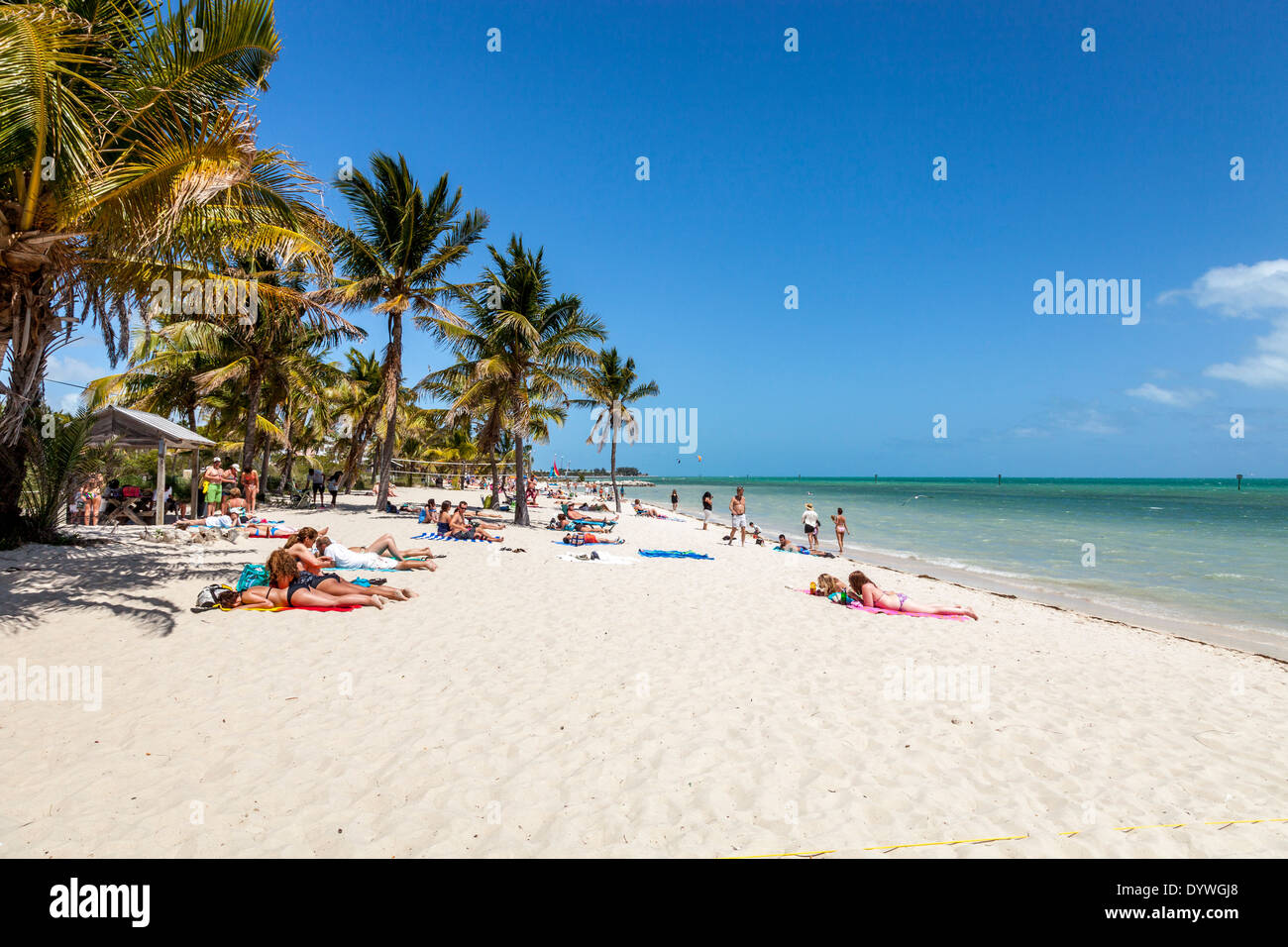 Beach key west -Fotos und -Bildmaterial in hoher Auflösung – Alamy