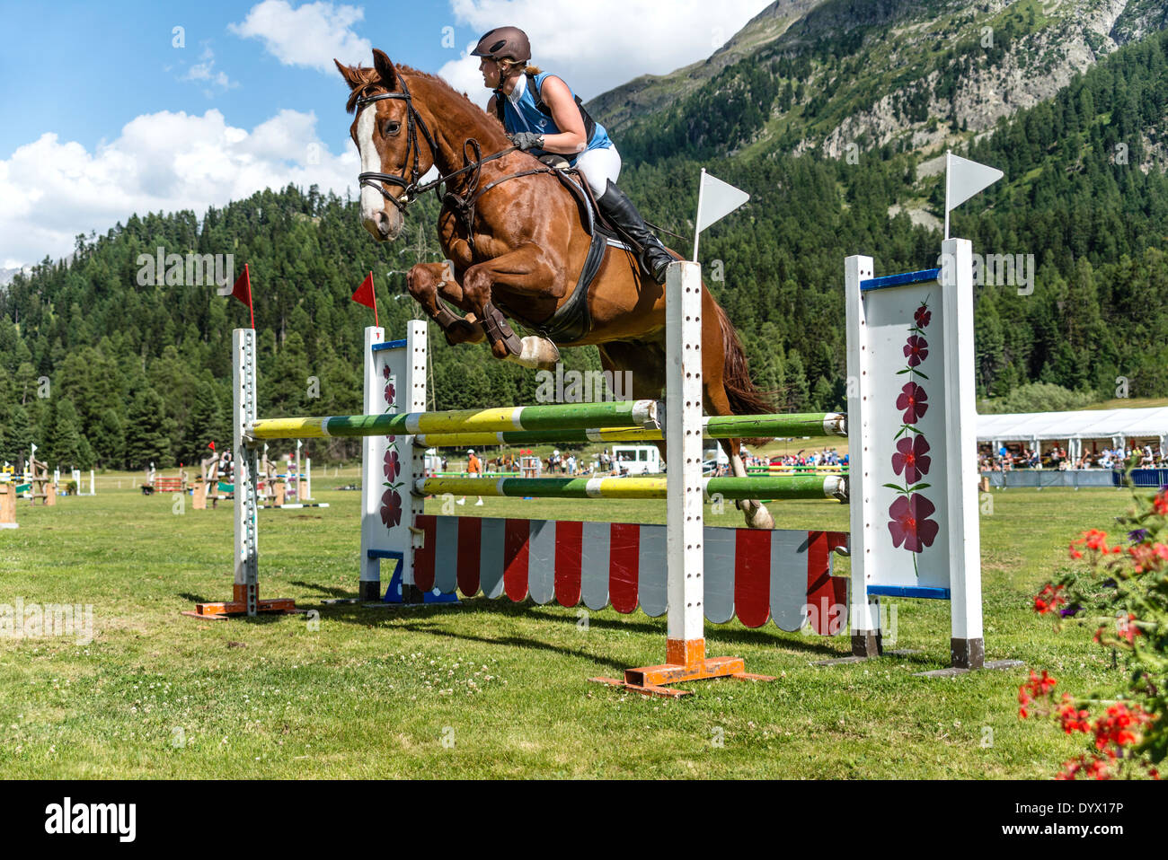 Berge sommer pferd springreiten st moritz concours -Fotos und ...