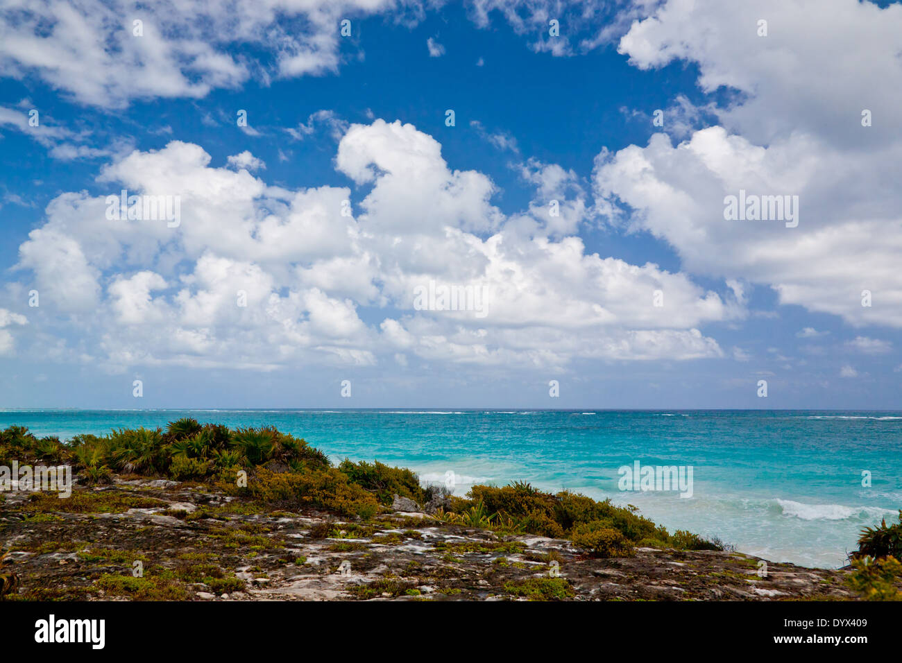 Mayan Riviera Reef Stockfotos & Mayan Riviera Reef Bilder - Alamy