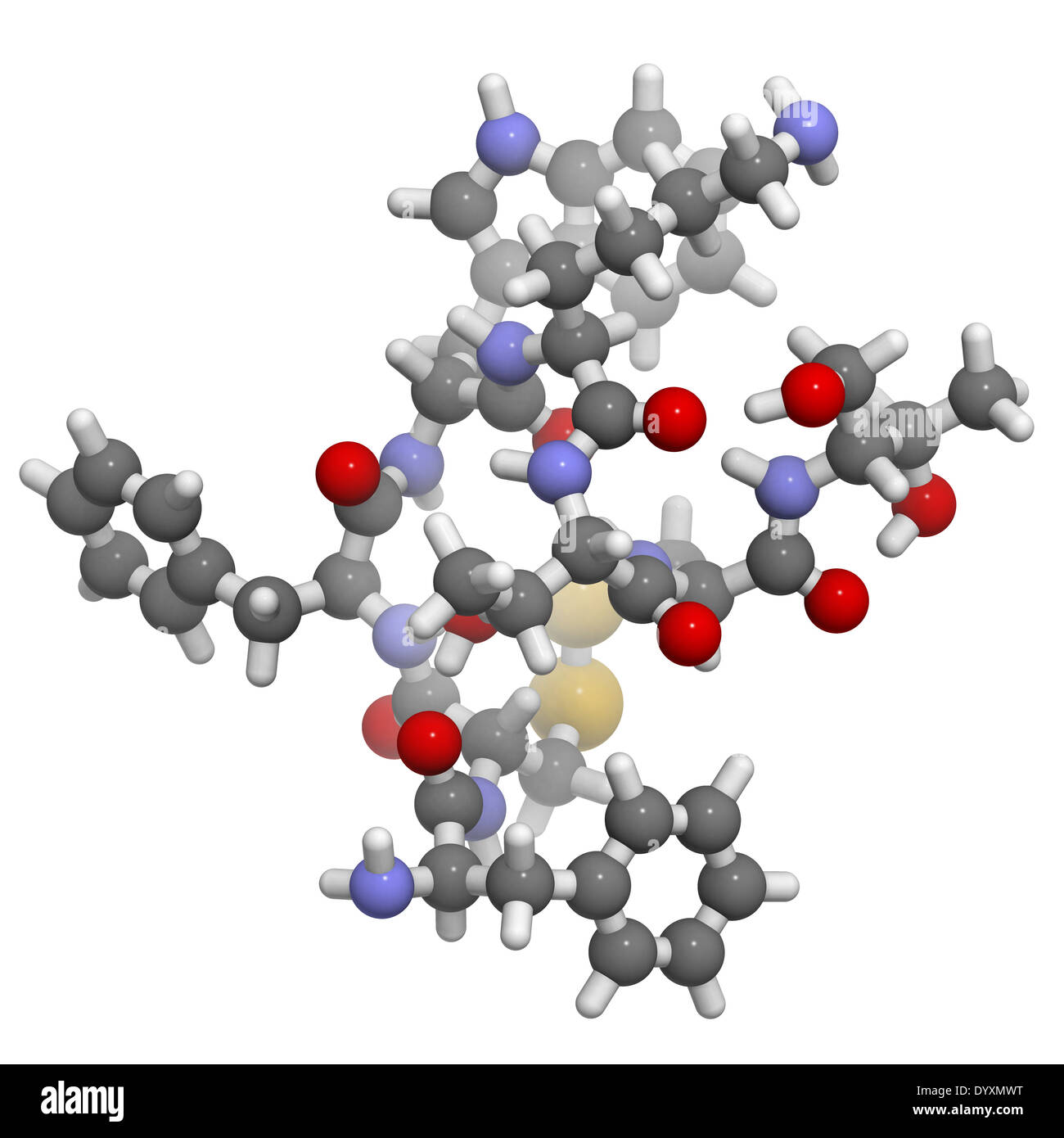 Ordnungszahl hormon -Fotos und -Bildmaterial in hoher Auflösung – Alamy
