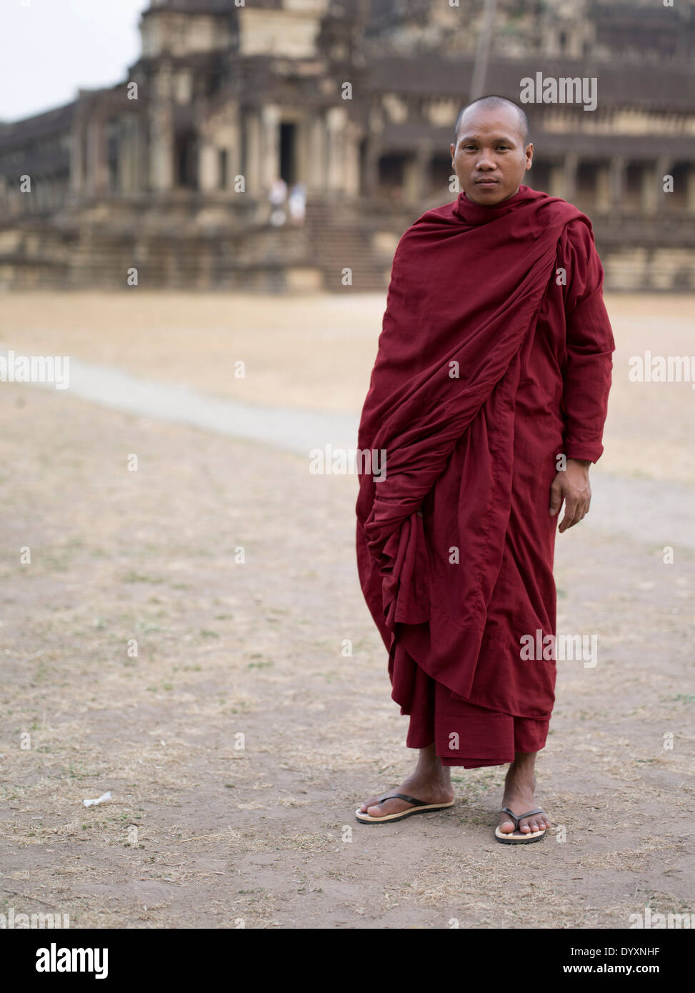 Buddhist monk -Fotos und -Bildmaterial in hoher Auflösung – Alamy