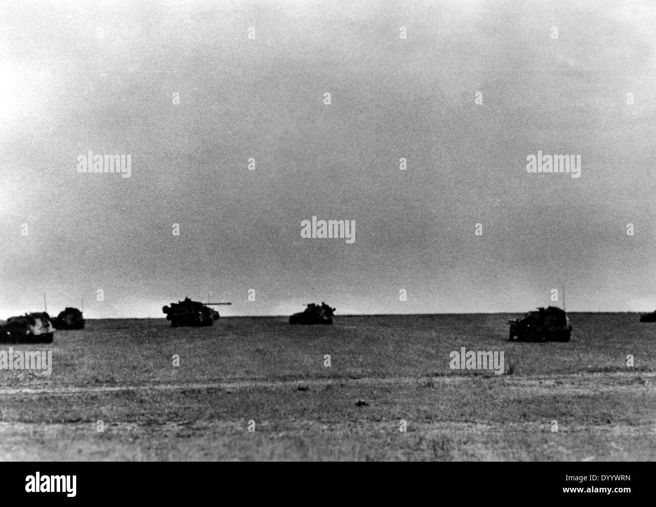 Deutsche Panzer an der Ostfront, 1943 Stockfotografie - Alamy