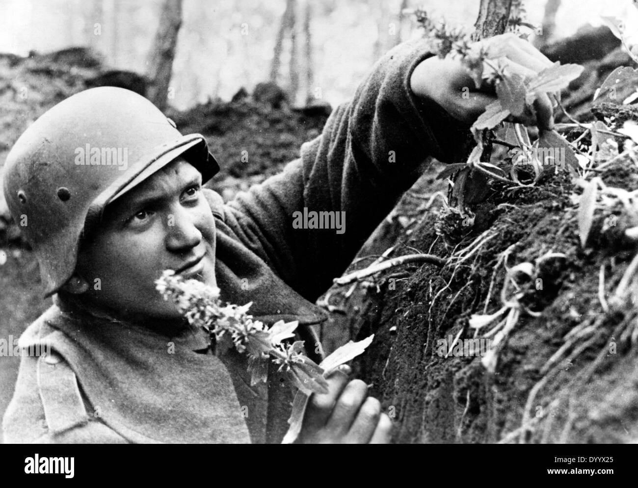 Soldier on eastern front 1944 -Fotos und -Bildmaterial in hoher ...