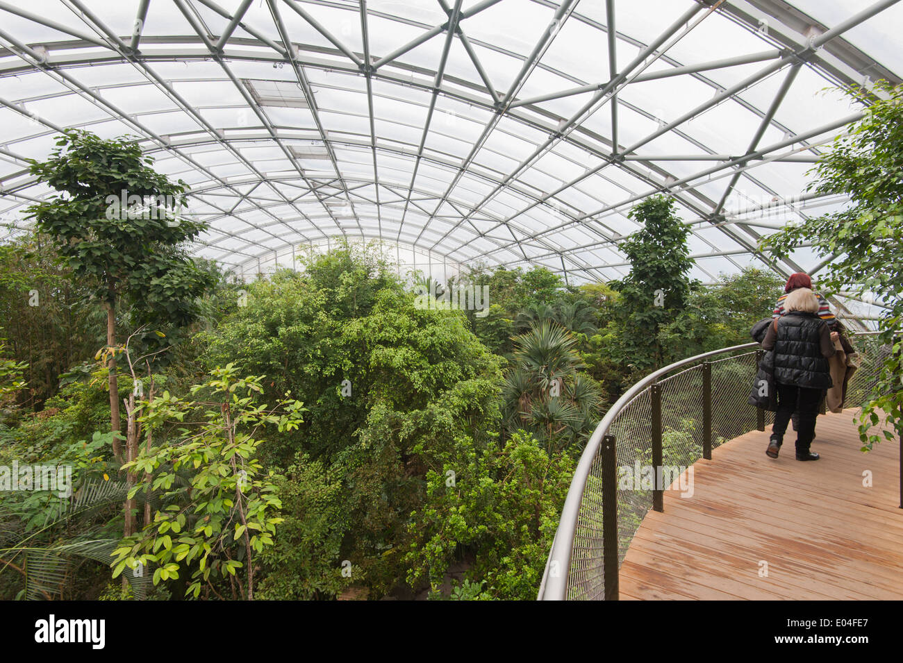 "Skywalk" der Masoala-Regenwald-Halle im Zoo Zürich Stockfotografie - Alamy