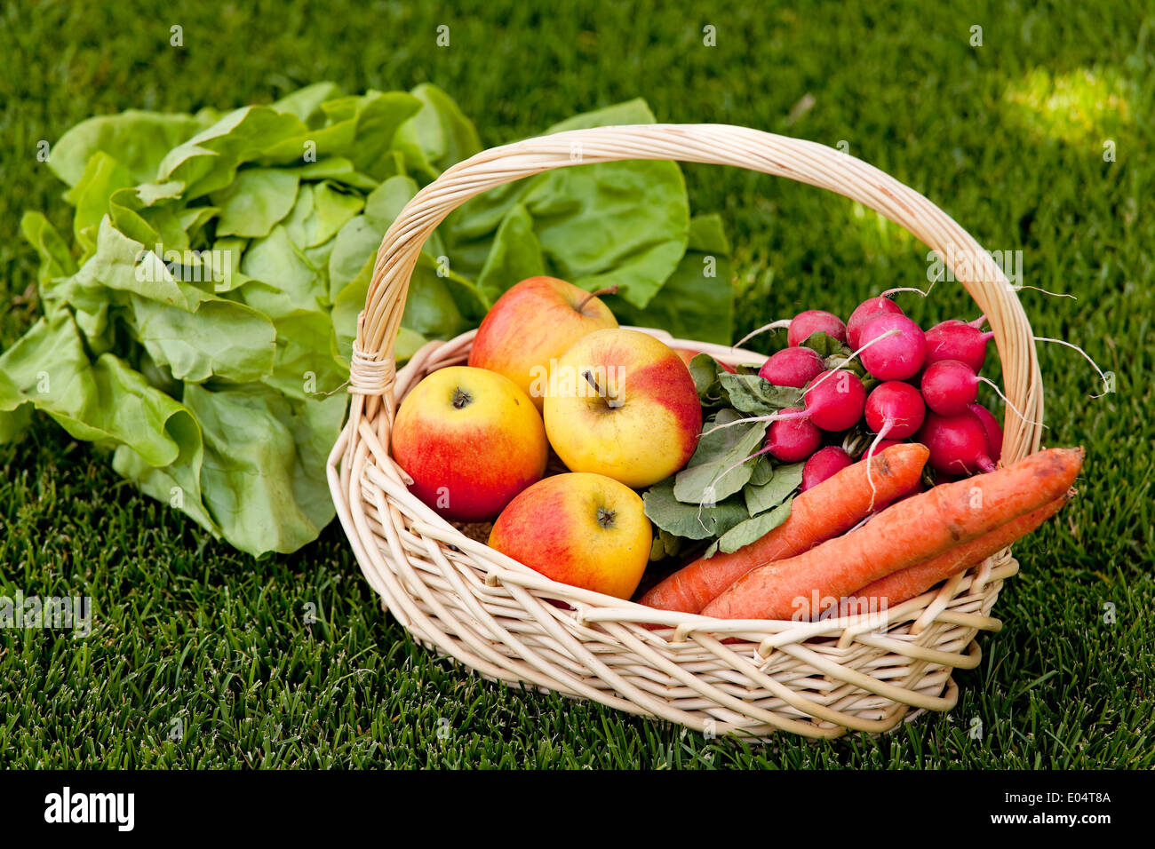 Obst und Gemüse in den Korb mit Obst Und Gemuese Im Korb Mit Frau Frau ...