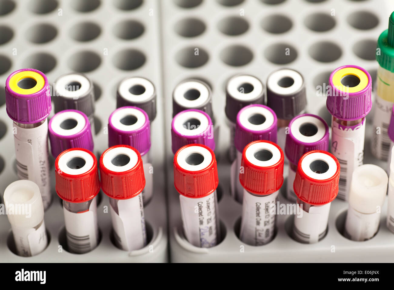 Sample tray -Fotos und -Bildmaterial in hoher Auflösung – Alamy