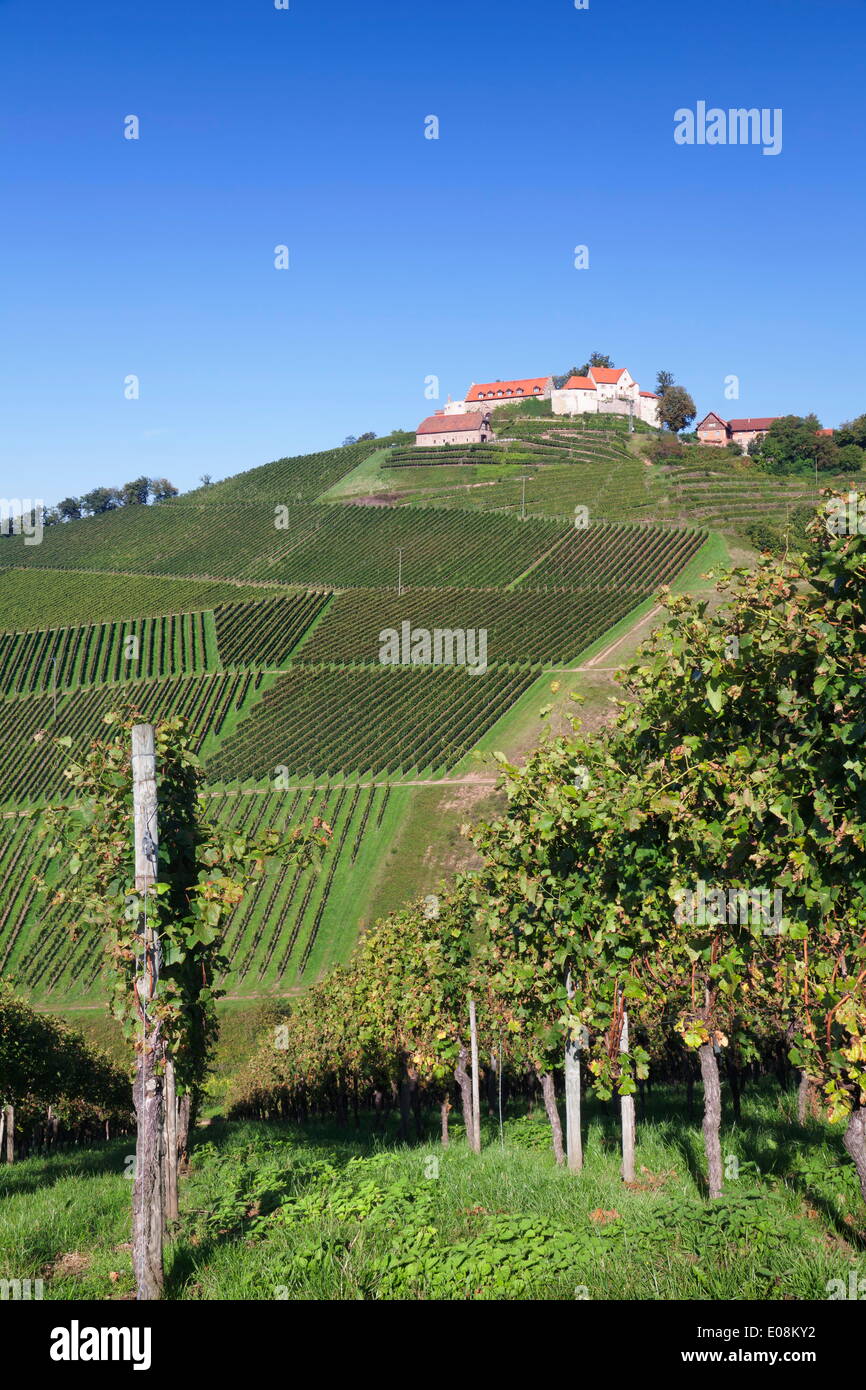 Durbach baden wurttemberg germany black -Fotos und -Bildmaterial in hoher Auflösung – Alamy