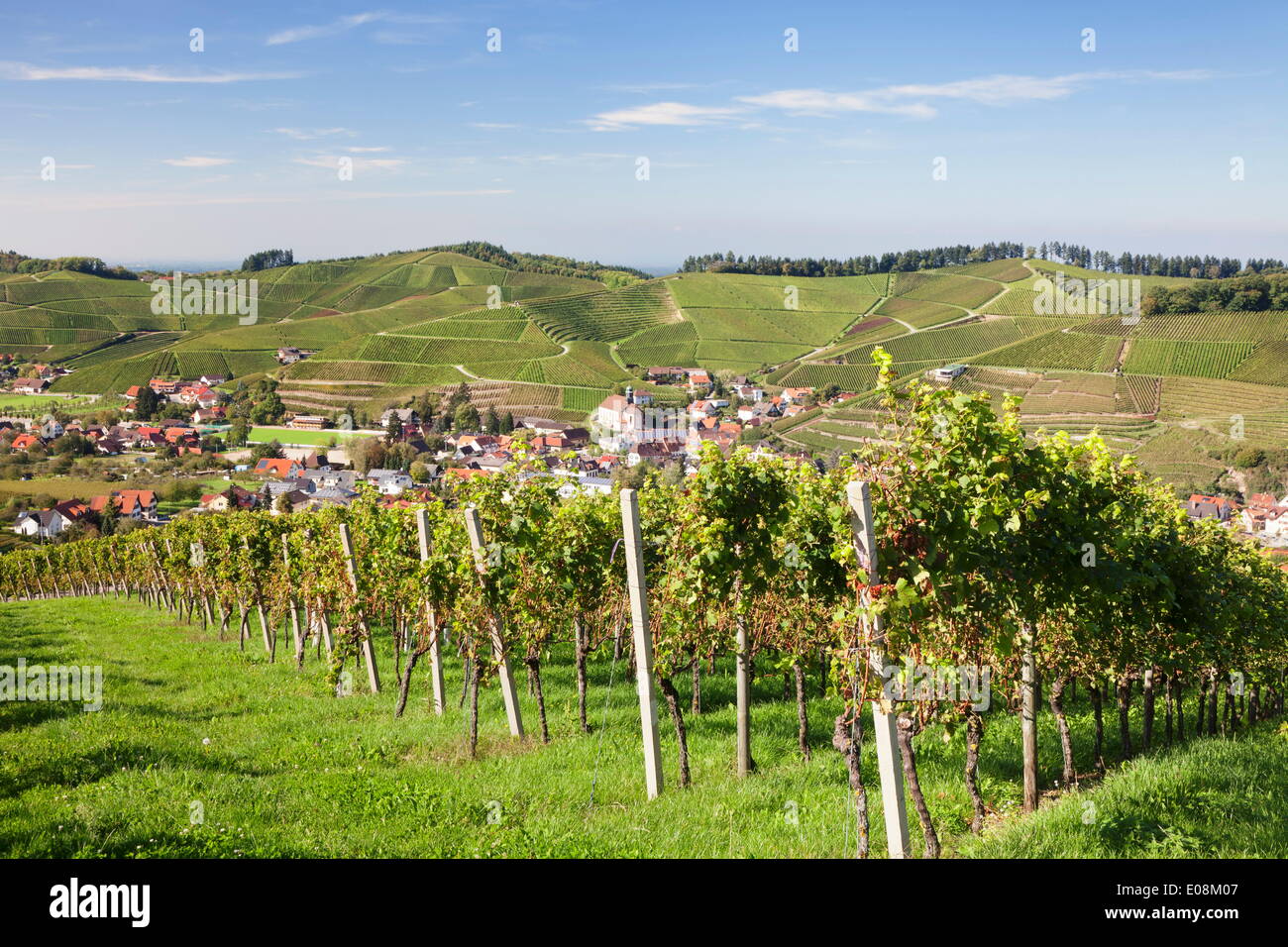 Durbach baden wurttemberg germany black -Fotos und -Bildmaterial in hoher Auflösung – Alamy