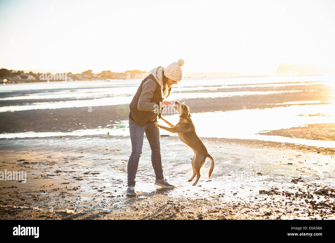 Hund am strand -Fotos und -Bildmaterial in hoher Auflösung – Alamy
