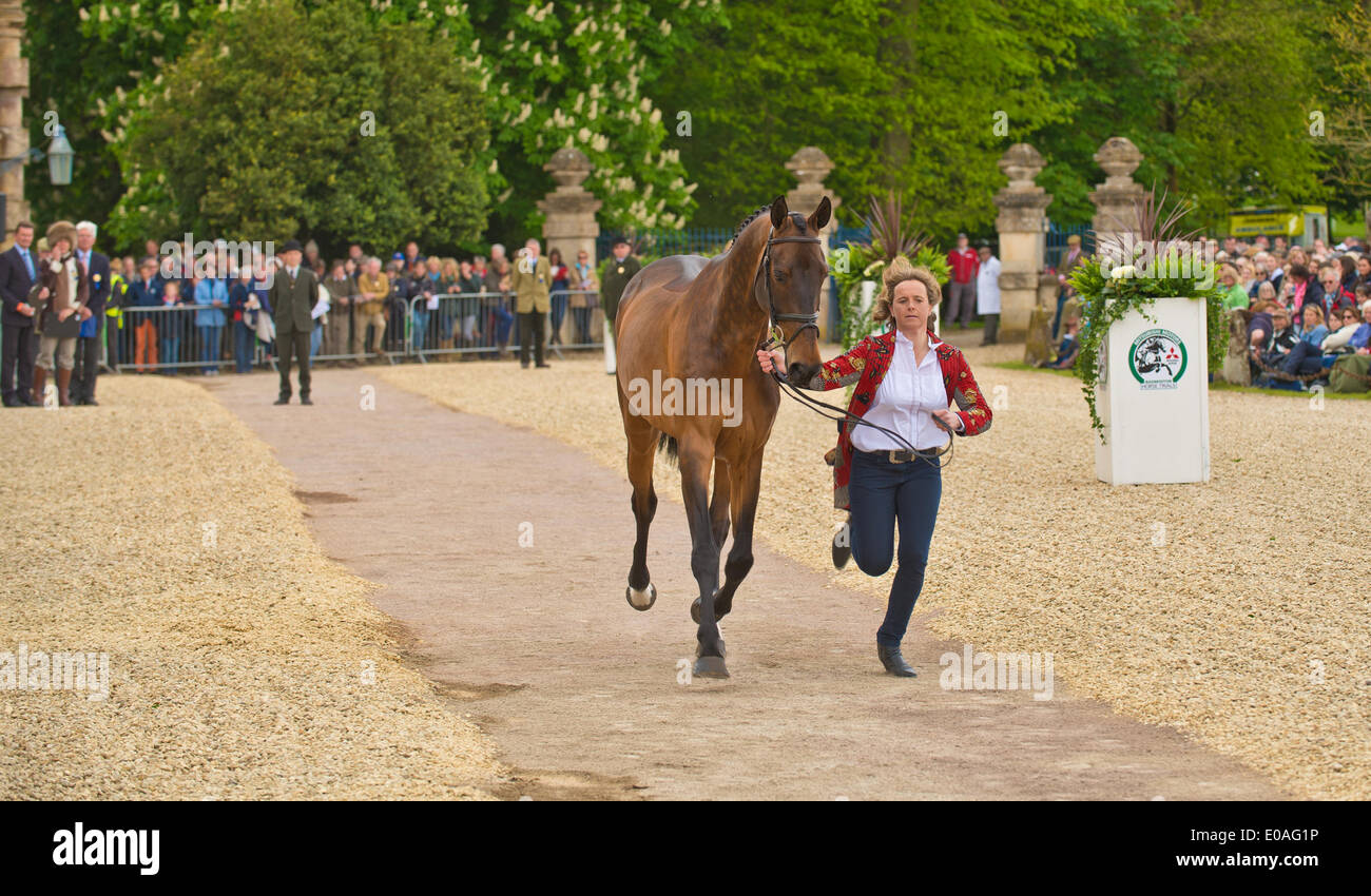 Pippa funnell badminton -Fotos und -Bildmaterial in hoher Auflösung – Alamy