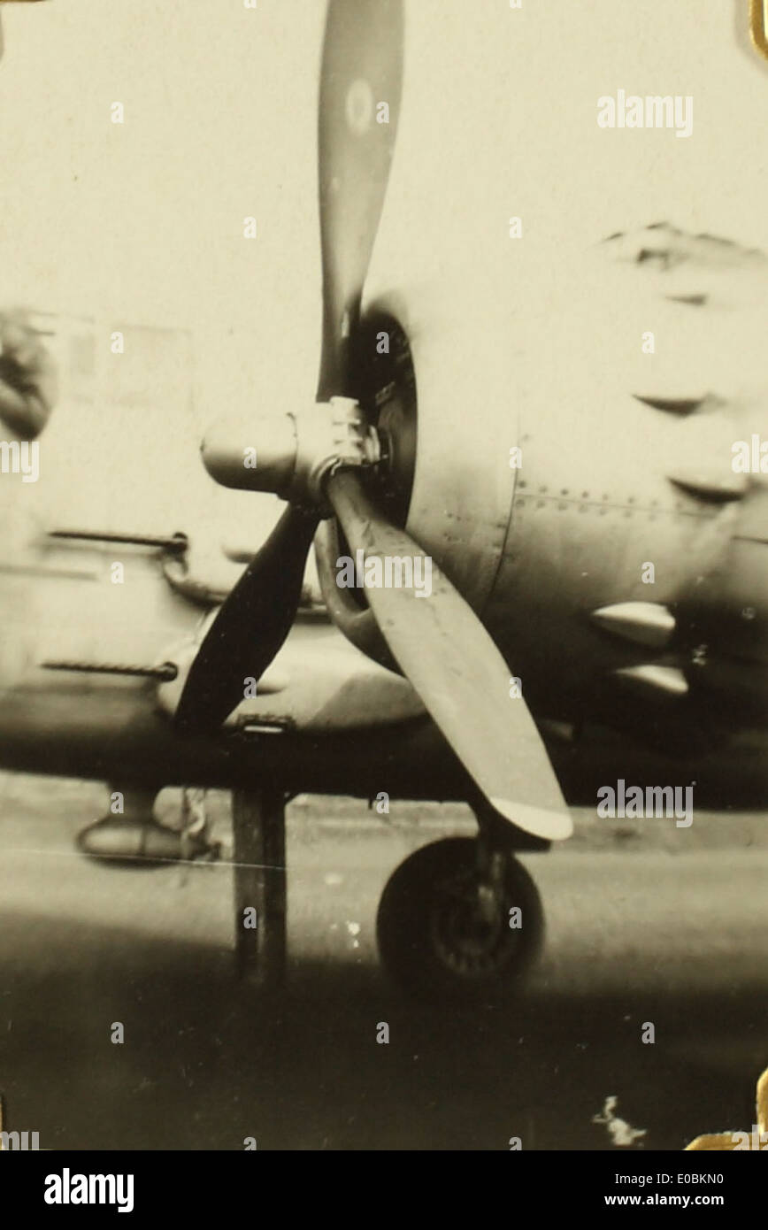 Dieses Foto der 341st Bomb Group zeigt einen B-25 Mitchell Bomber, ein ...
