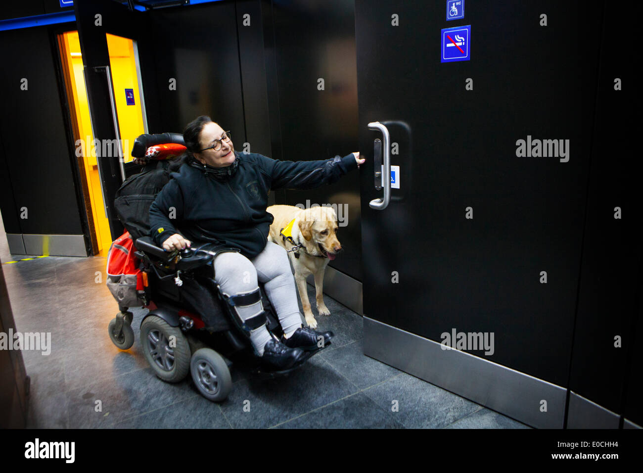 Behinderte hunde -Fotos und -Bildmaterial in hoher Auflösung – Alamy