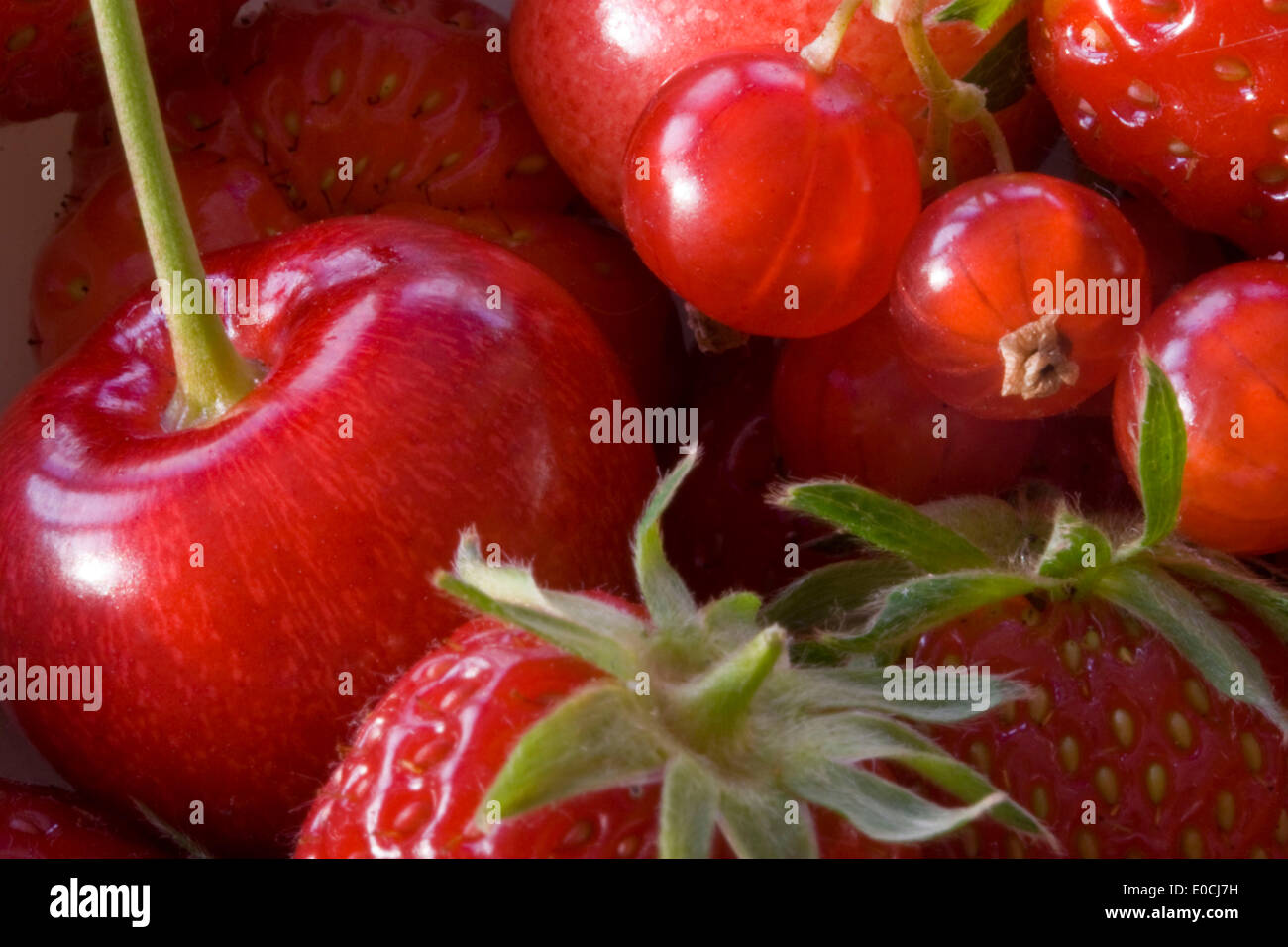 Fruchtende vielfalt -Fotos und -Bildmaterial in hoher Auflösung – Alamy