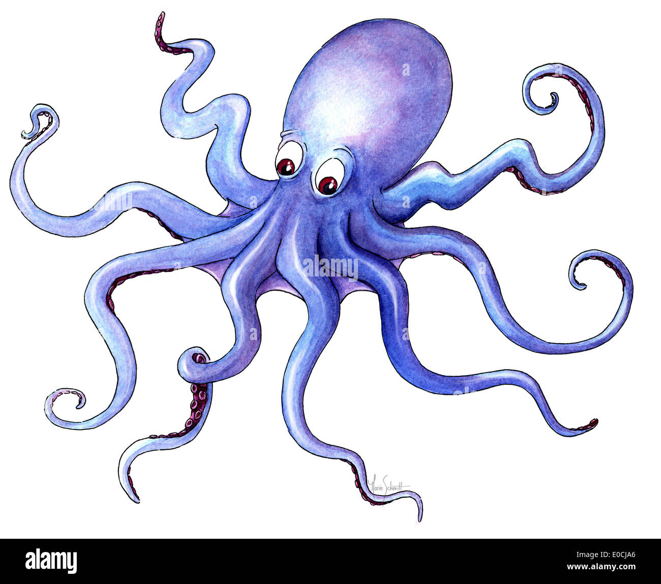 Kraken Drawing Stockfotos und -bilder Kaufen - Alamy