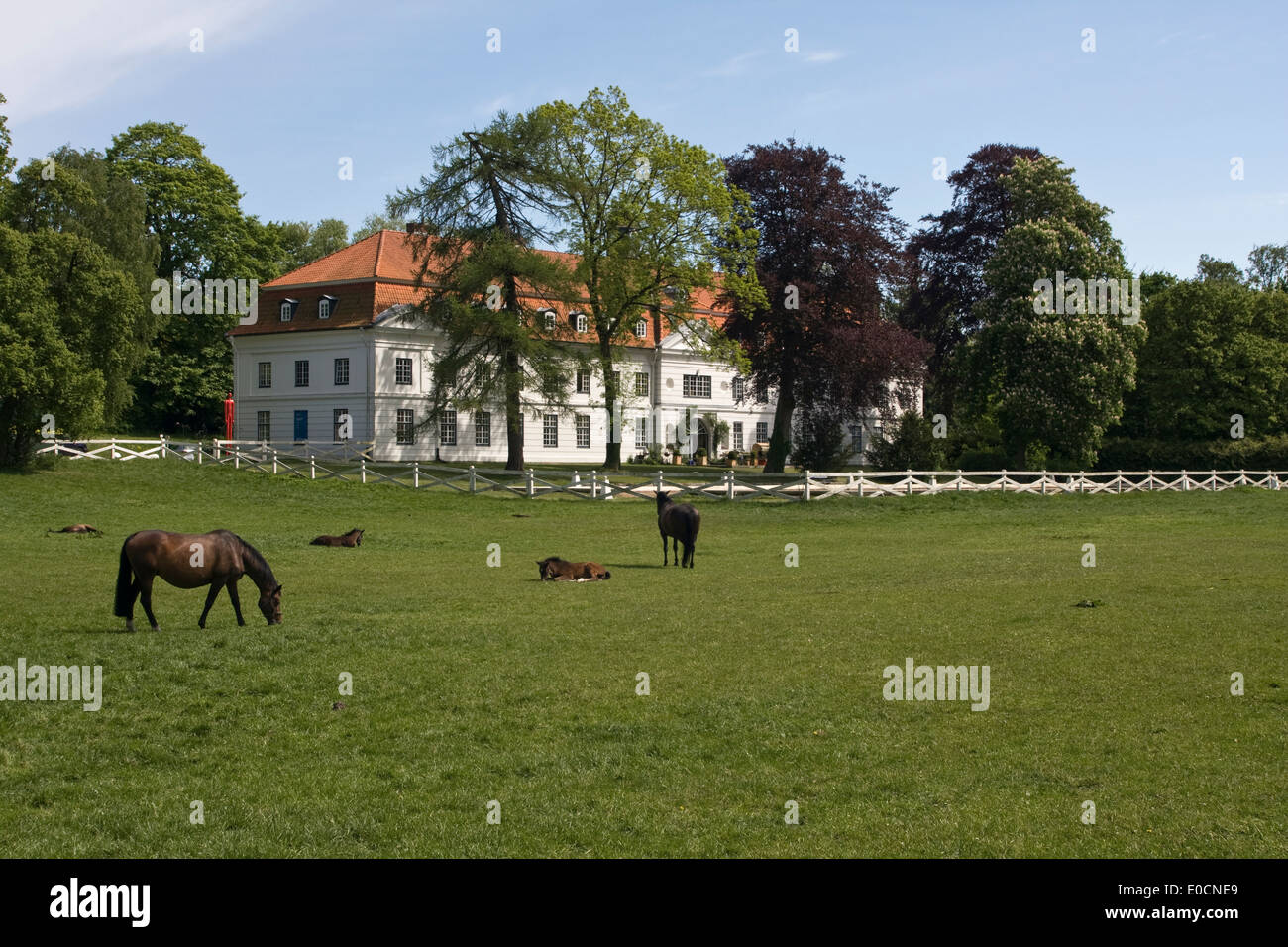 Germany schleswig holstein luetjenburg -Fotos und -Bildmaterial in ...