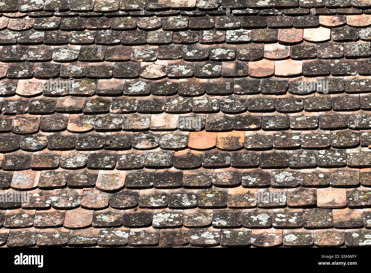 Dachschindel, Schindeldach - Shindels, Dach Stockfotografie - Alamy