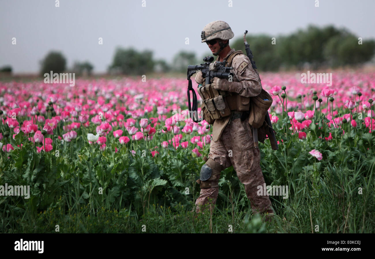 Islamic republic of afghanistan corporal mark hickok -Fotos und ...