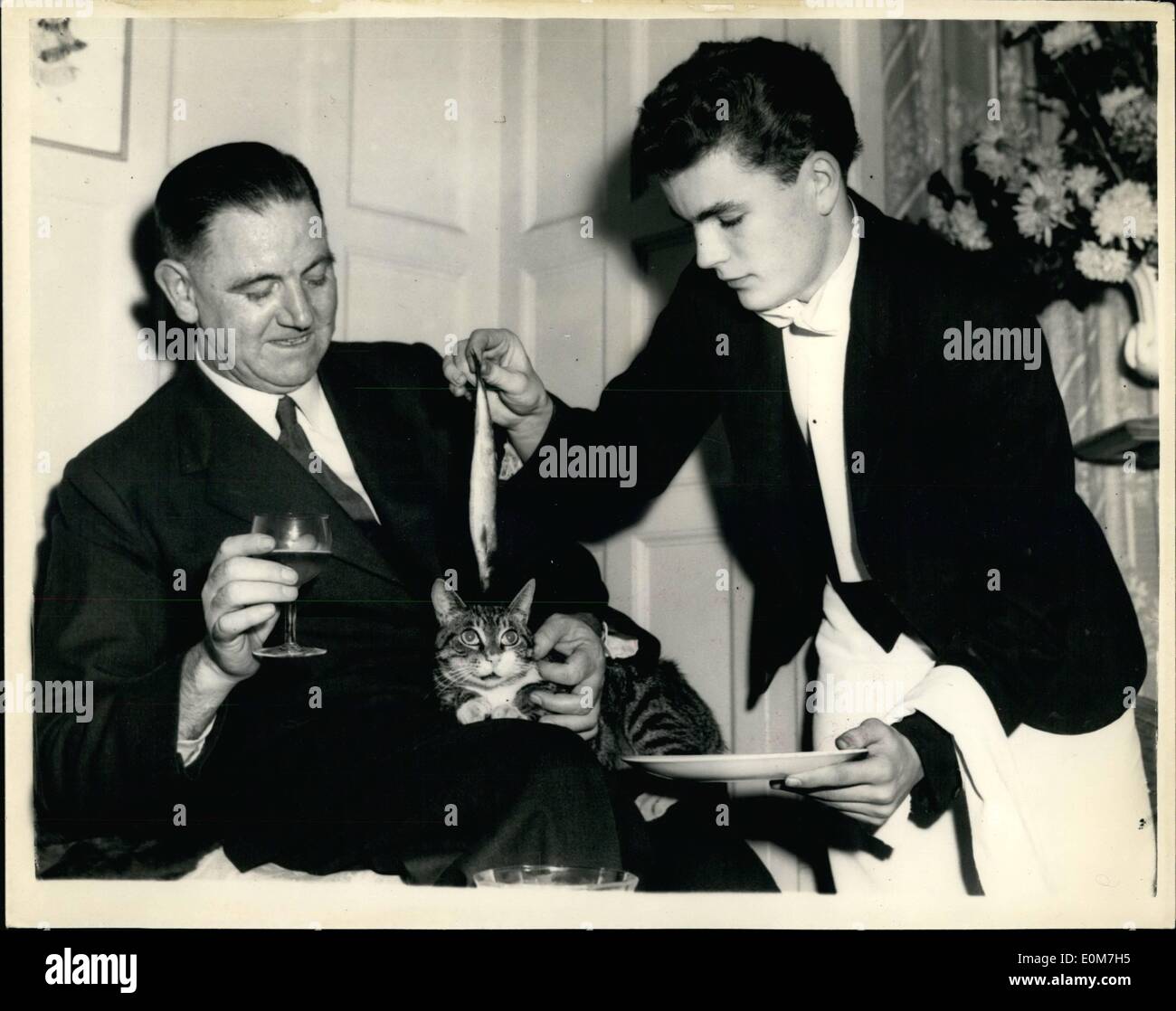 Fischer katzen -Fotos und -Bildmaterial in hoher Auflösung – Alamy