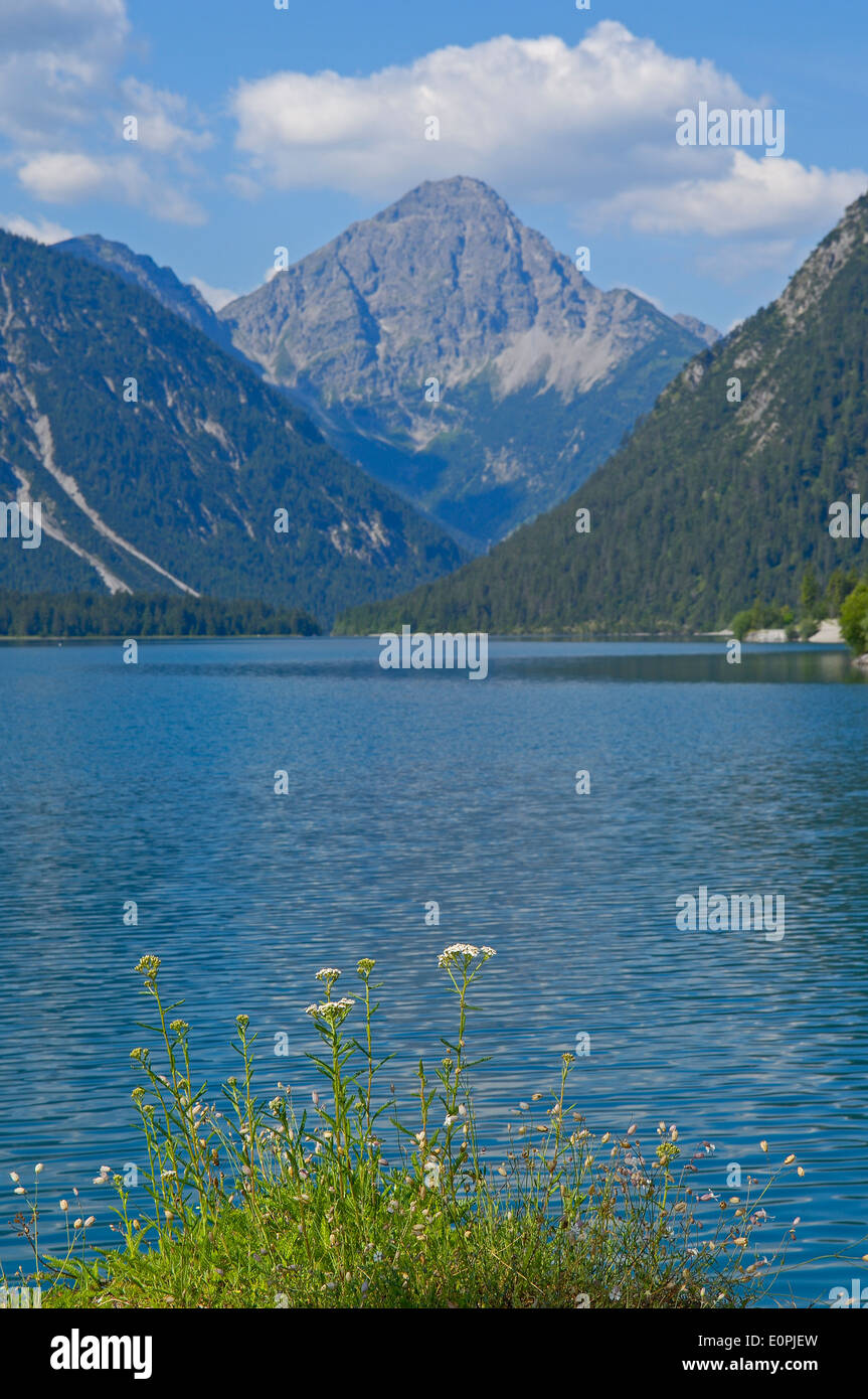 Lake plansee -Fotos und -Bildmaterial in hoher Auflösung – Alamy
