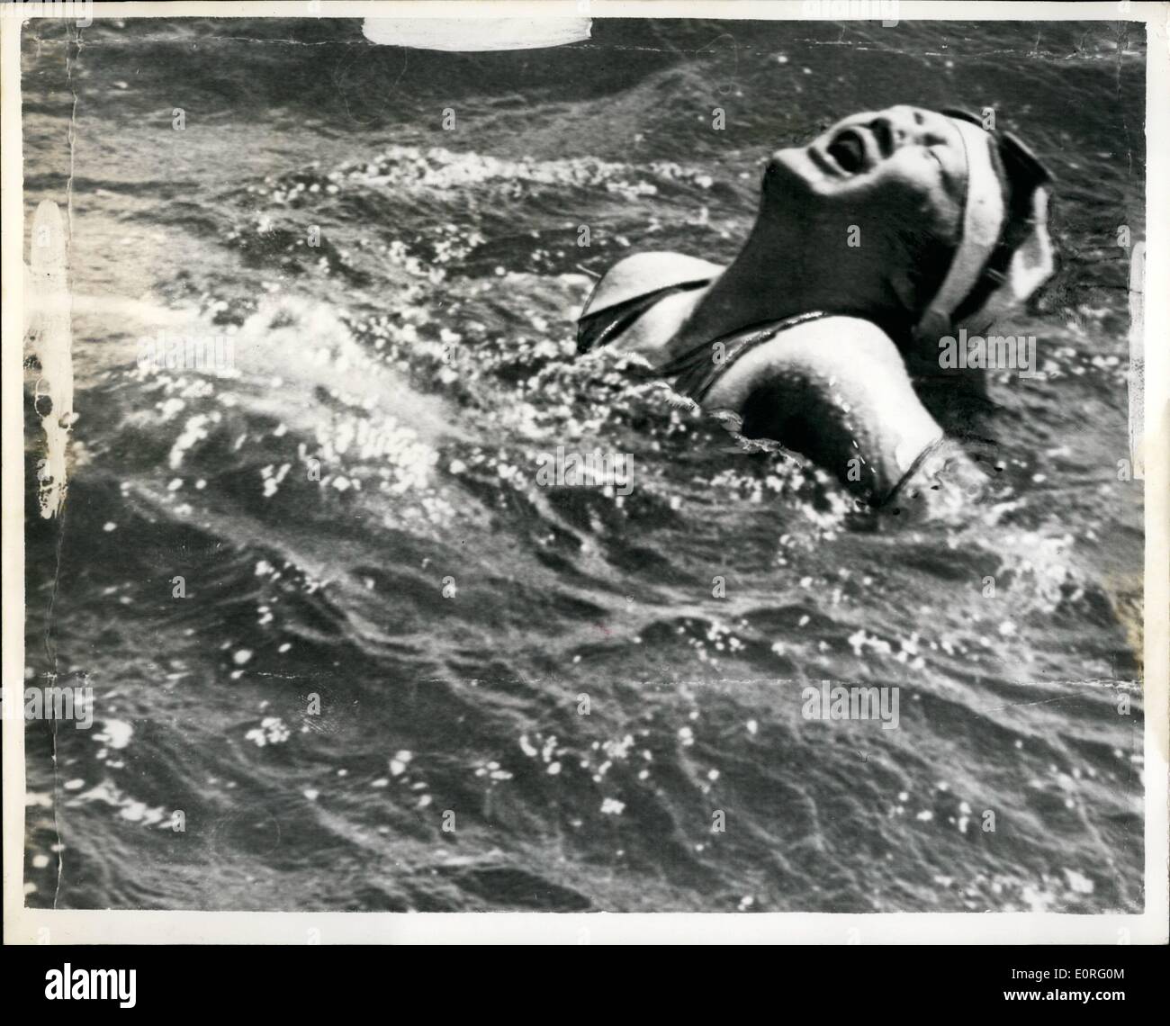 Ned barnie -Fotos und -Bildmaterial in hoher Auflösung – Alamy