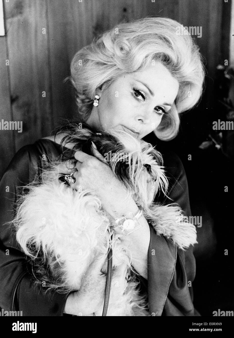 Sari zsa zsa gabor -Fotos und -Bildmaterial in hoher Auflösung – Alamy