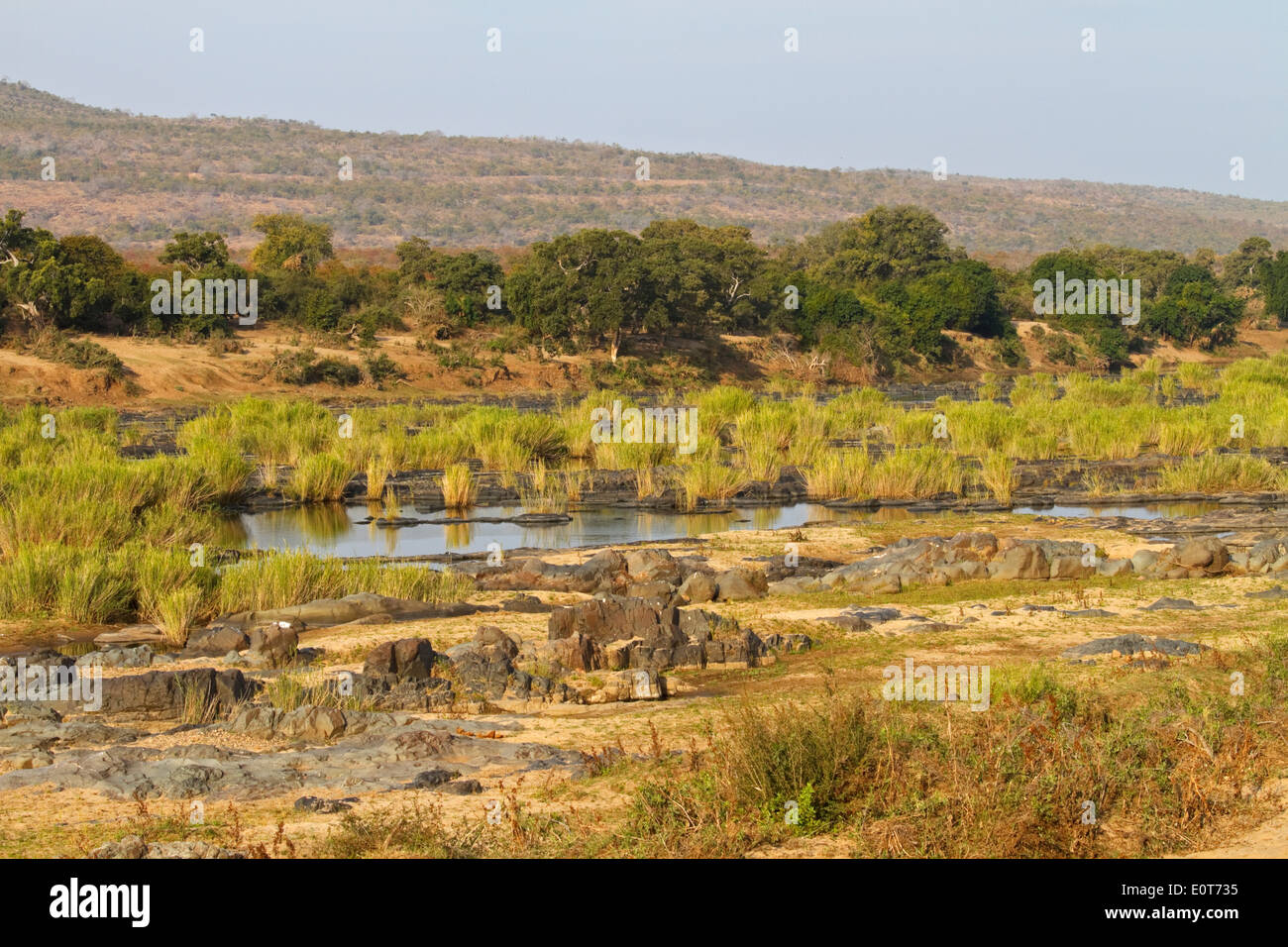 Letaba river -Fotos und -Bildmaterial in hoher Auflösung – Alamy