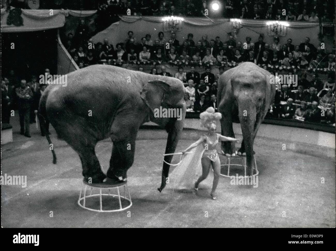 4. März 1961 - Josephine Baker als Elefant tamer bei Künstler-Charity ...