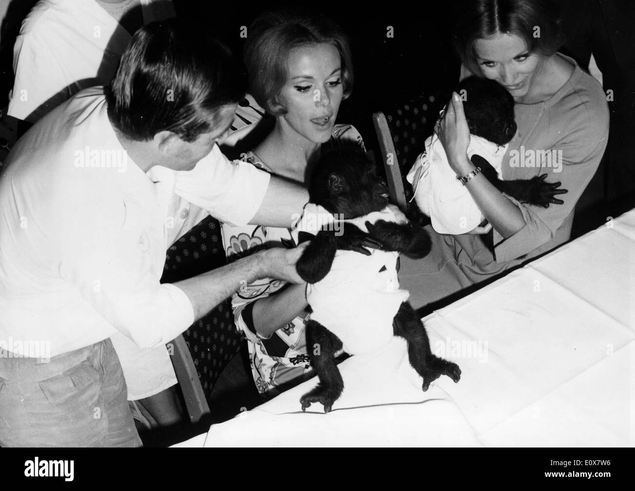 The Famous Kessler Twins Stockfotos und -bilder Kaufen - Alamy