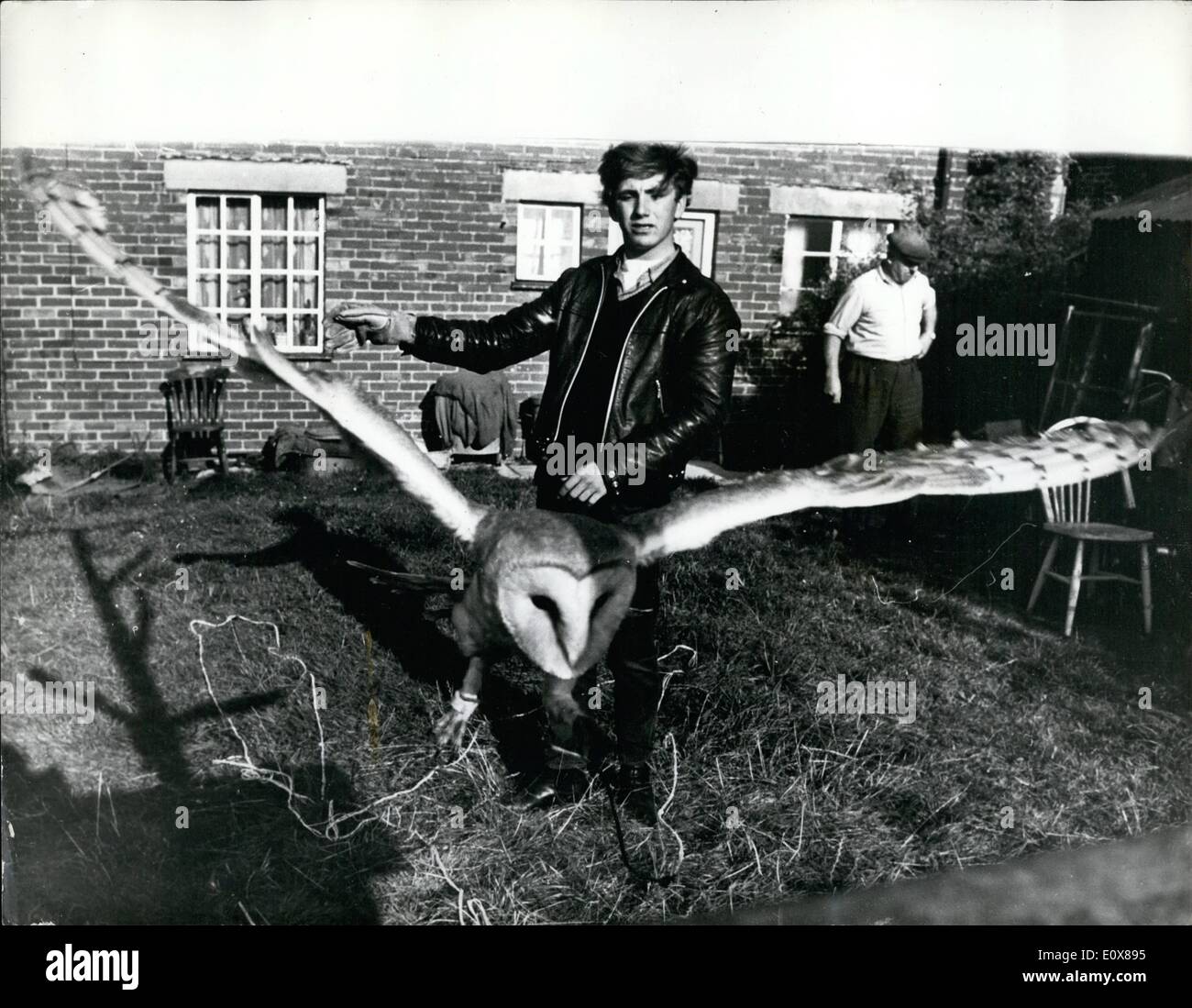 Sept. 09, 1965 - die Weise alte Eule ist sitzt hübsch: Dies ist die ...