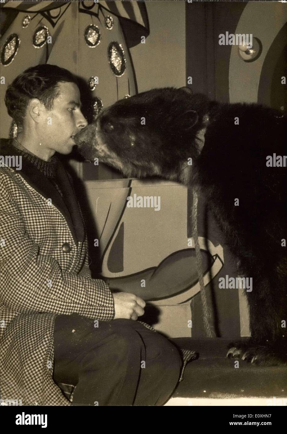 Mahot a circus bear -Fotos und -Bildmaterial in hoher Auflösung – Alamy