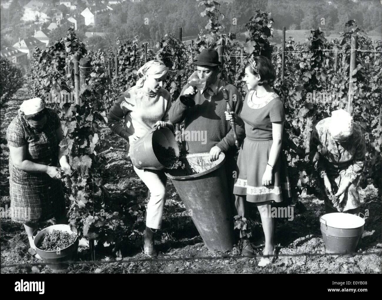 Deutsche weinkönigin -Fotos und -Bildmaterial in hoher Auflösung – Alamy