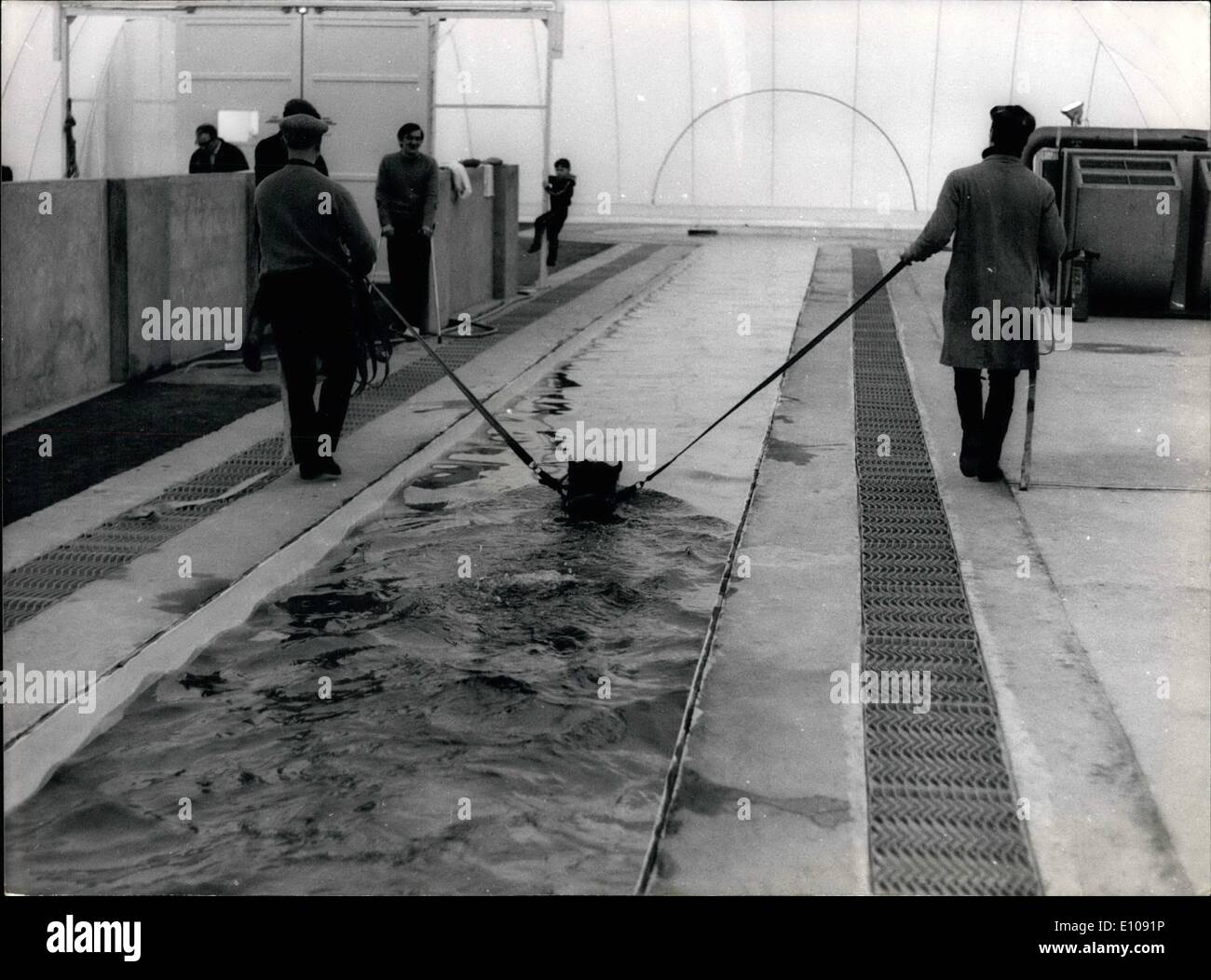 3. März 1970 - Pool für französische Pferde - einzigartig in Europa ...
