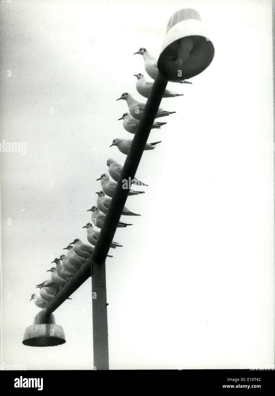 Immer zwitschern -Fotos und -Bildmaterial in hoher Auflösung – Alamy